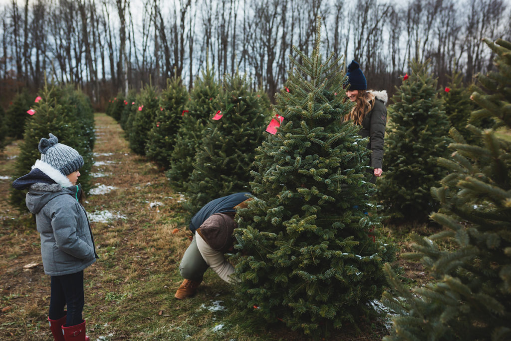 Tree Farm Session | Dull’s Tree Farm | Indianapolis Photographer